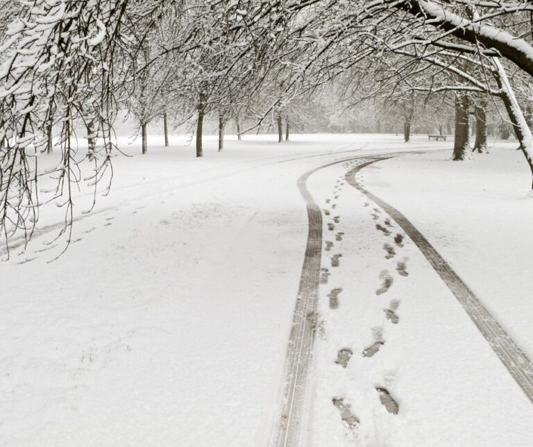 I heard that what gets measured gets managed. What should I measure? - Christian Muntean